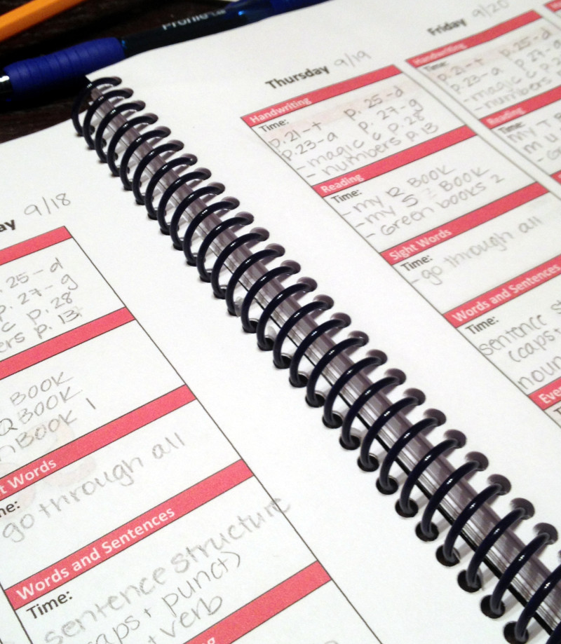 Free Lesson Plan Book Download | mellie blossom