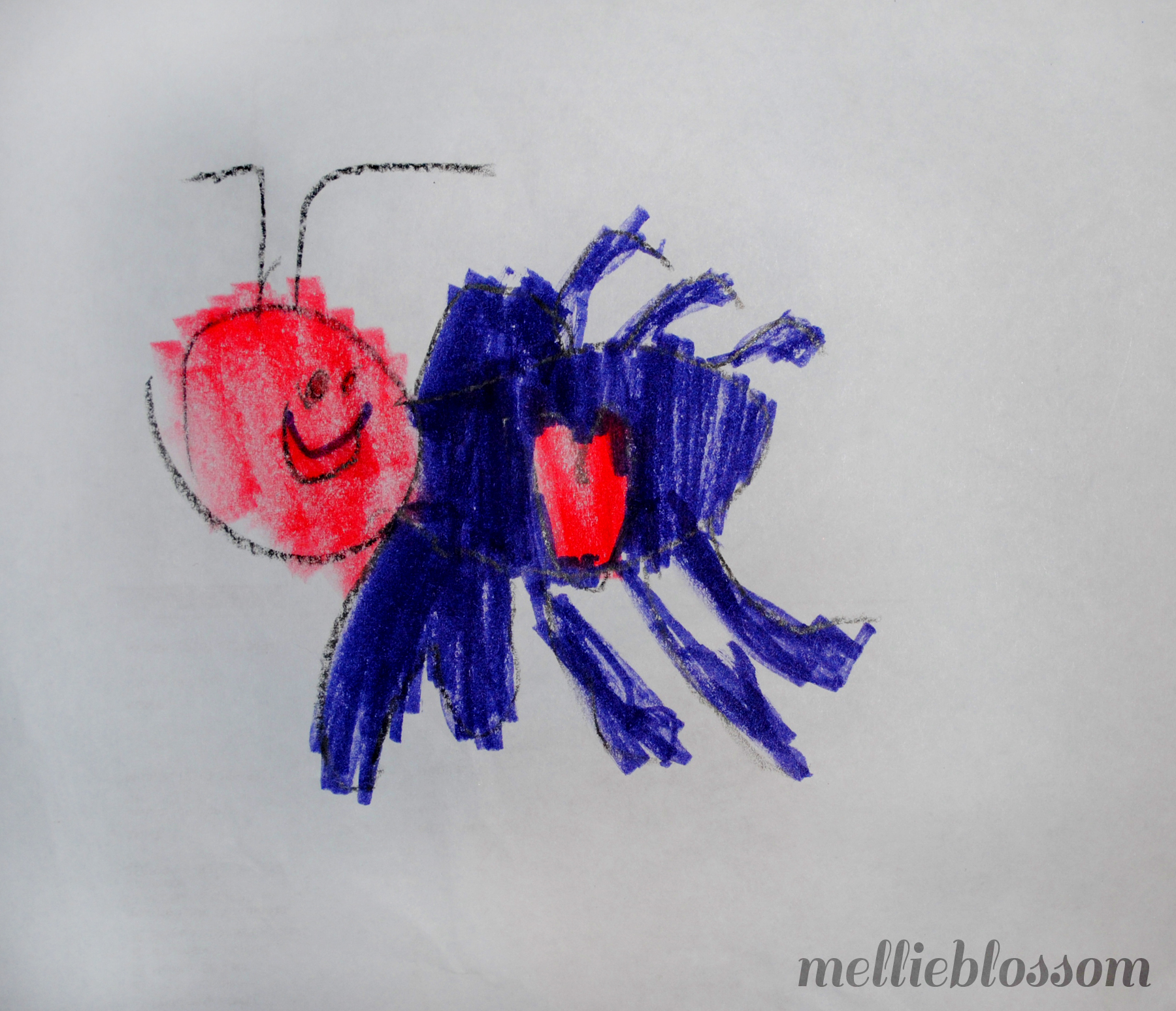 Snugglebugs | mellie blossom