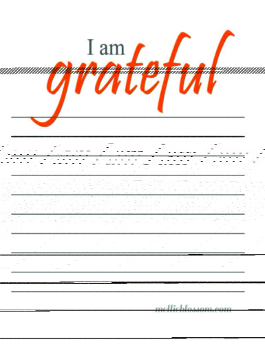 Our Gratitude Journal | mellie blossom